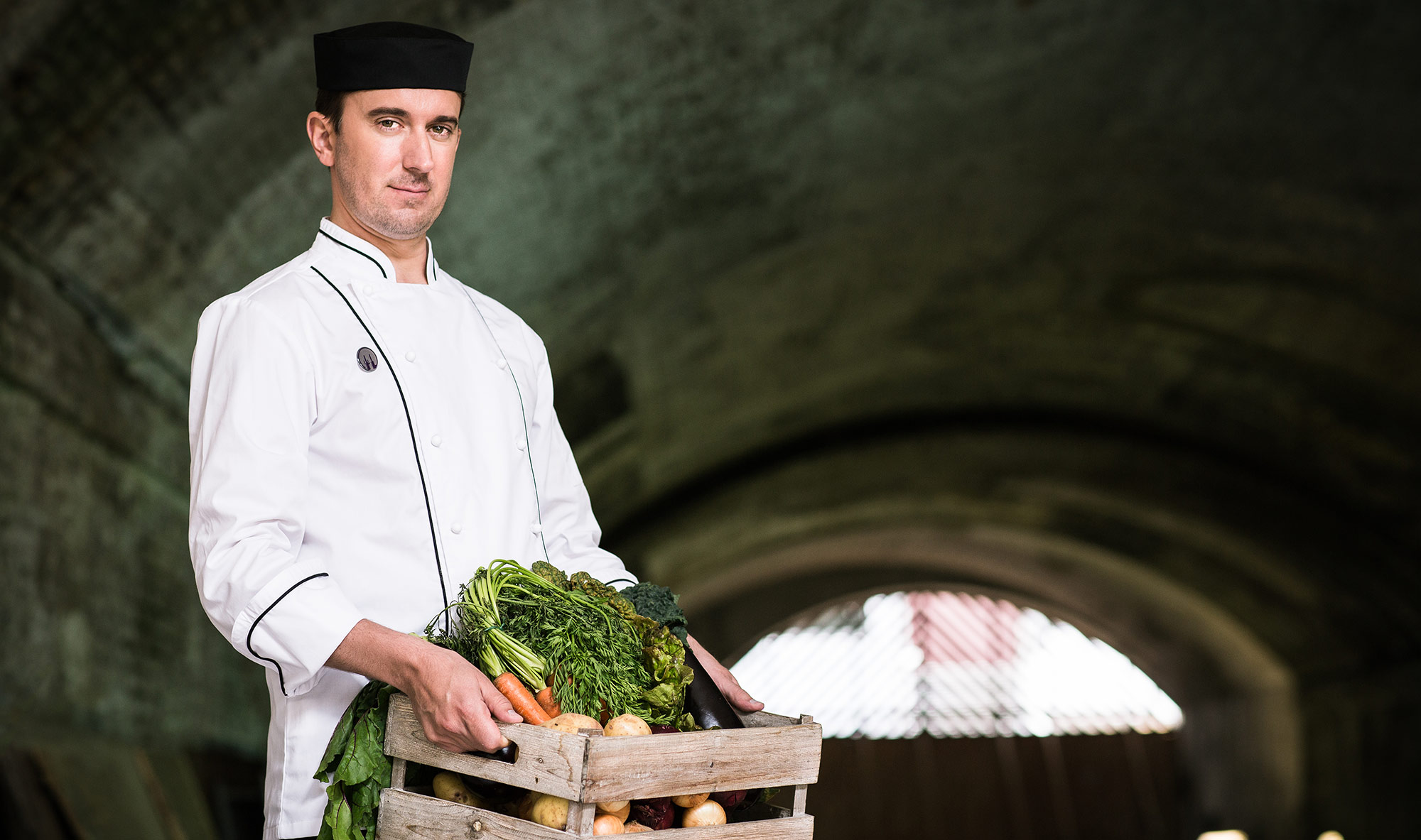 Your Career Path | BASE